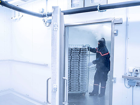 Products • MECOTEC